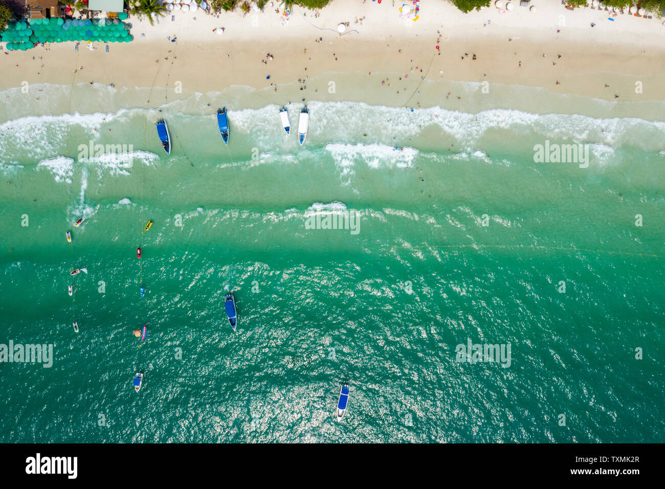 During the Spring Festival from February 10 to 12, 2019, a special trip ...