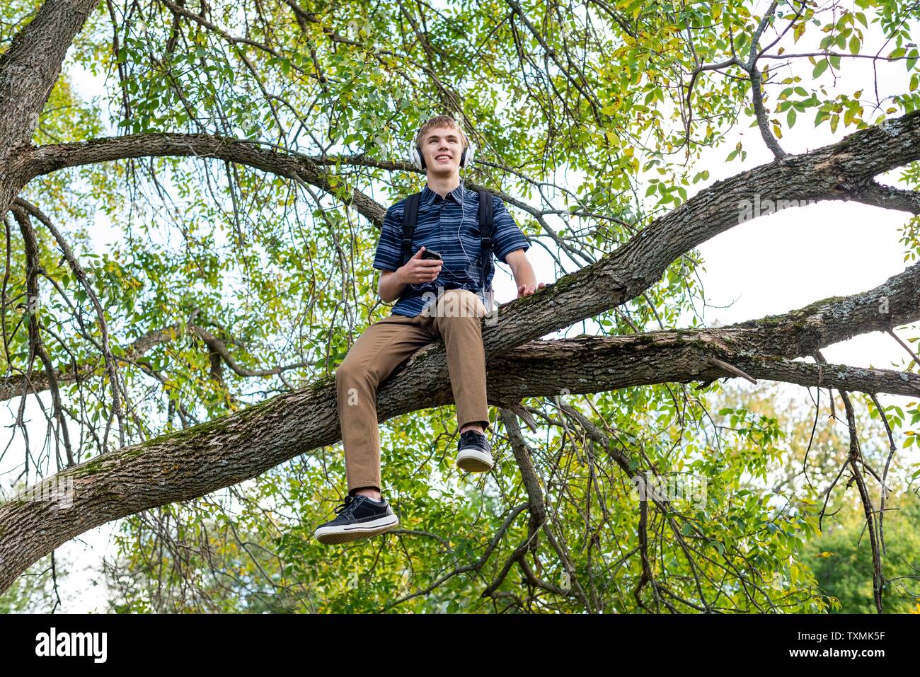 Happy student sitting on a tree branch while listening to music through ...