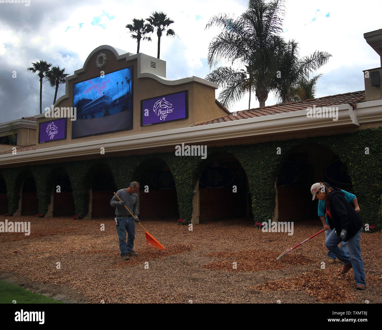 Workers tidy up the paddock the day before the 34th Breeders Cup World ...