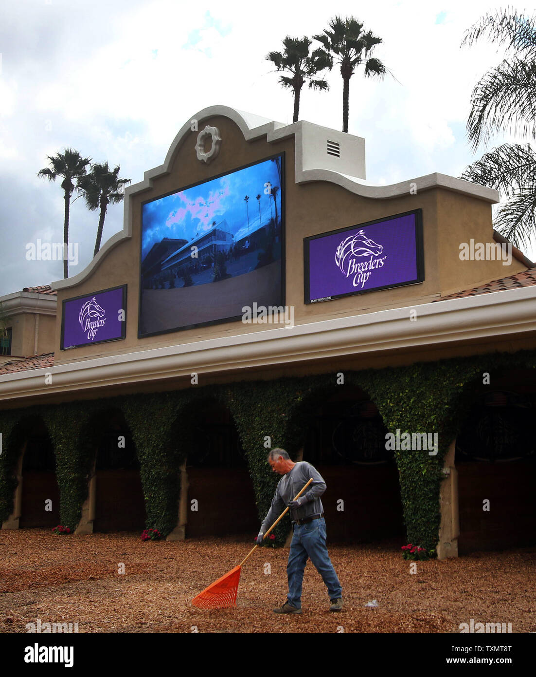 Breeders cup del mar hi-res stock photography and images - Alamy