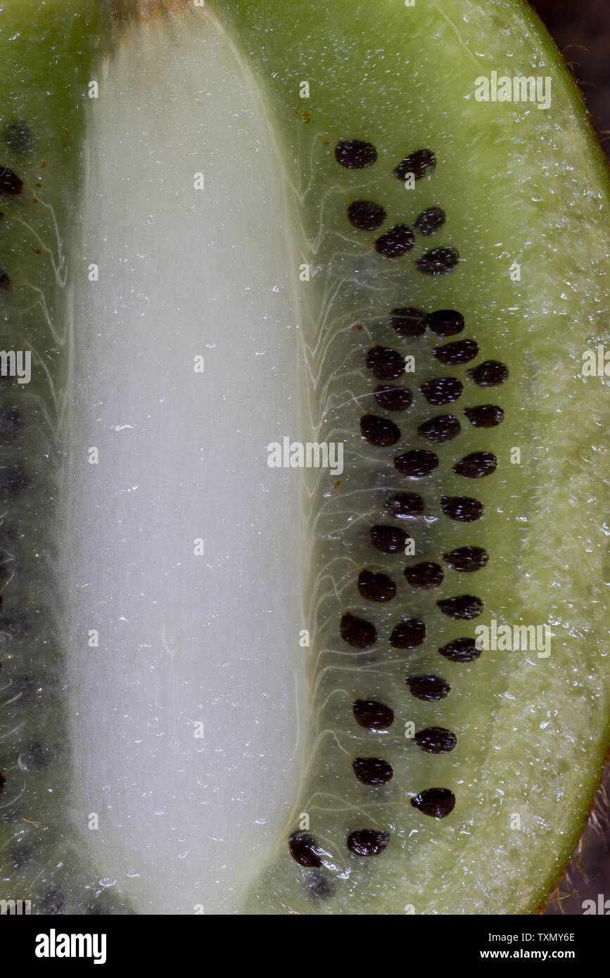 Cross section through a ripe kiwifruit Stock Photo - Alamy