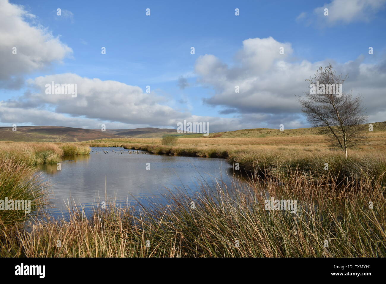 Grey clouds over water hi-res stock photography and images - Alamy