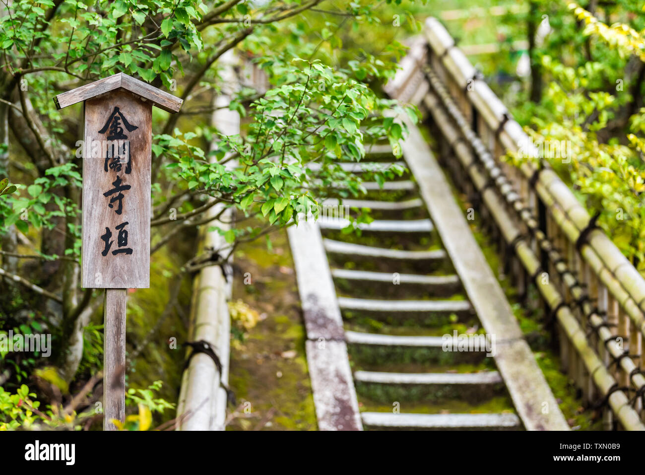 Garden Stone Steps High Resolution Stock Photography and Images - Alamy
