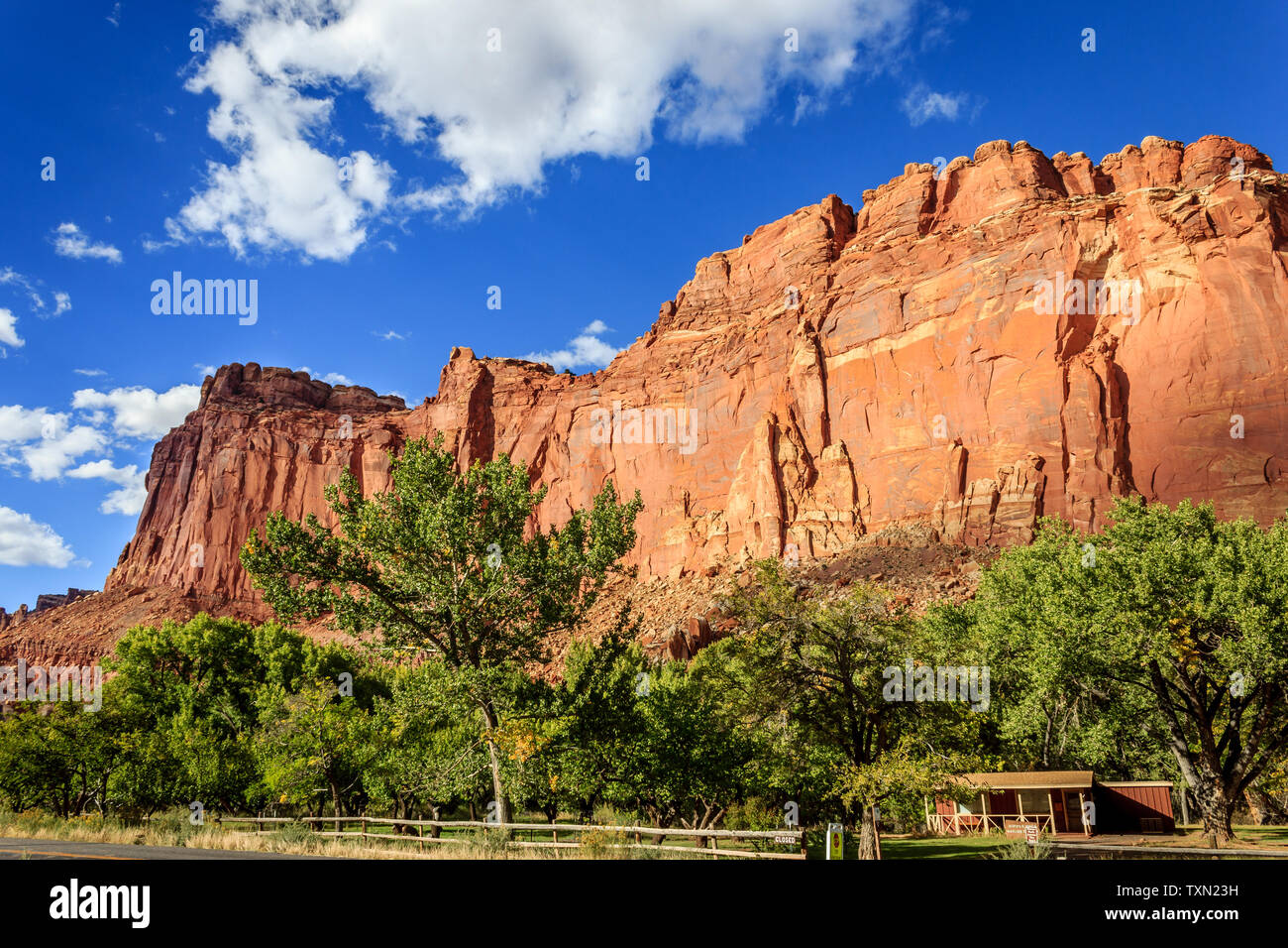 Colorful orchards hi-res stock photography and images - Alamy