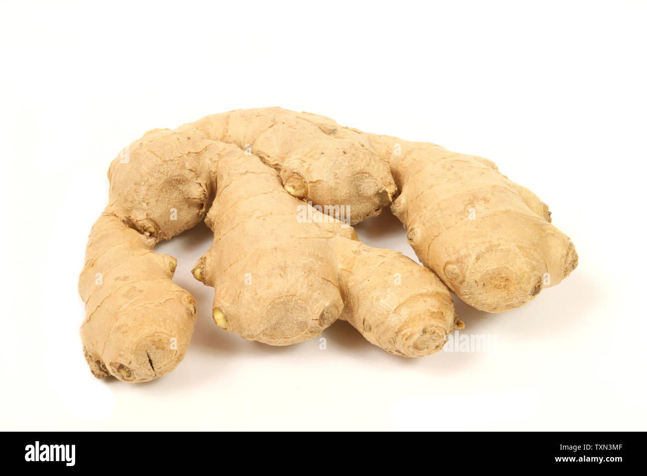 Ginger whole tuber over white. Medicin or spice source. Zingiber ...