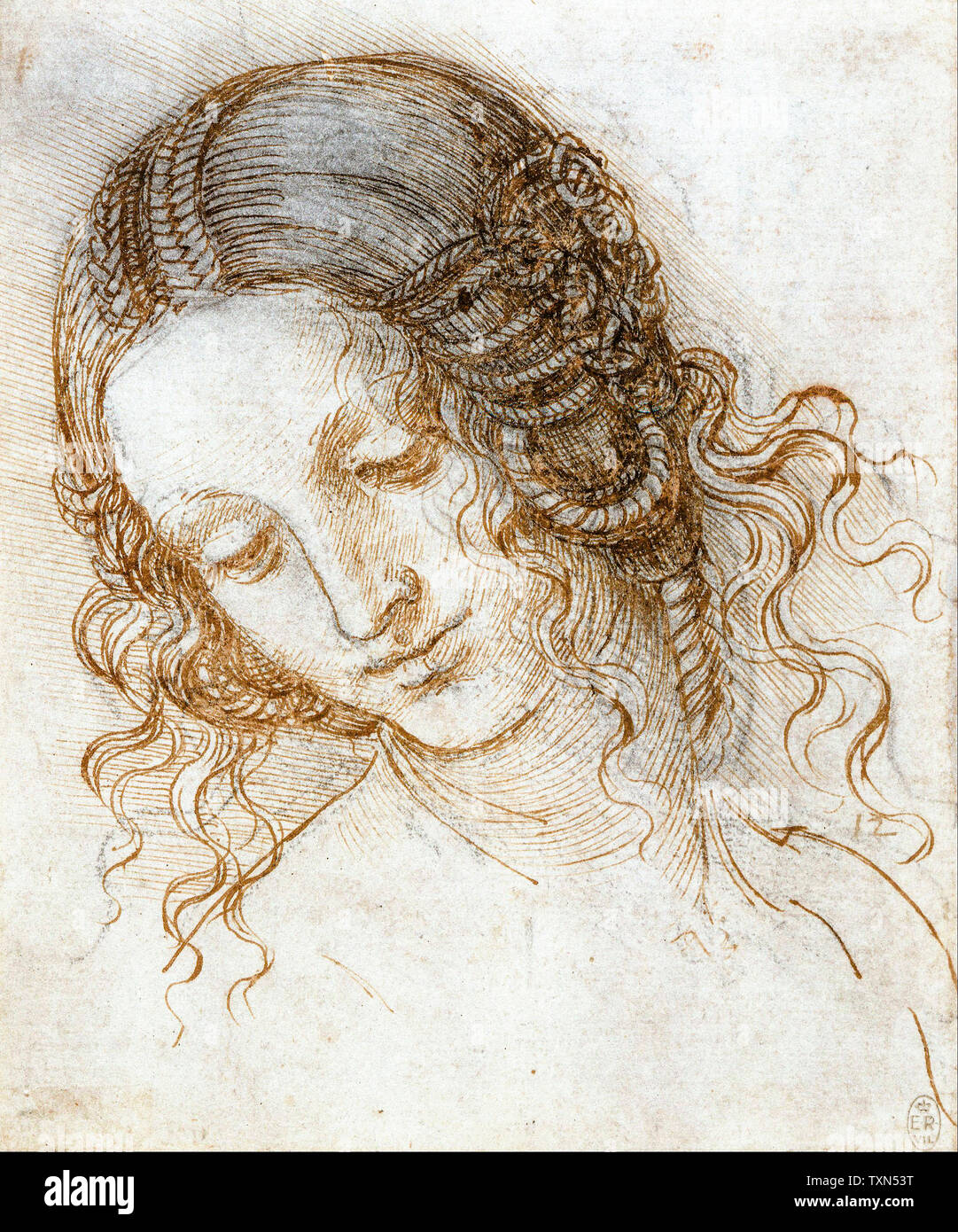 Leonardo Da Vinci, Head of Leda, drawing, circa 1504 Stock Photo - Alamy