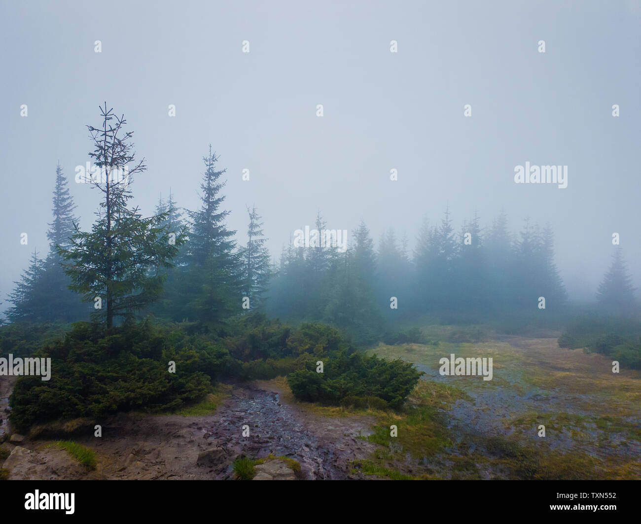 Gloomy landscape hi-res stock photography and images - Alamy