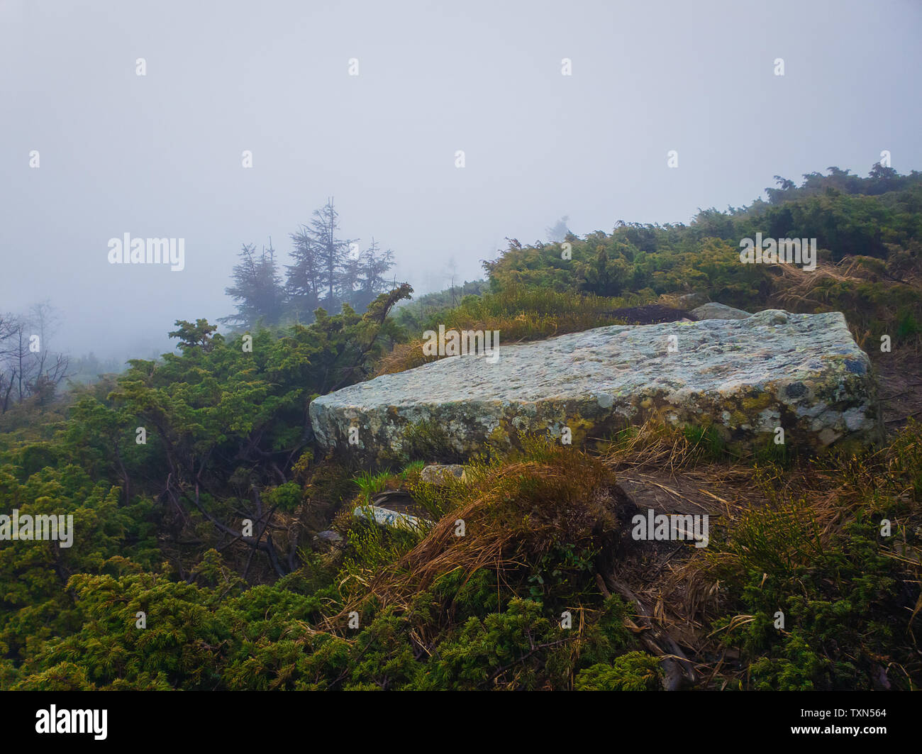 Flat piece of rock of big dimensions as seen on a mountain hill through ...