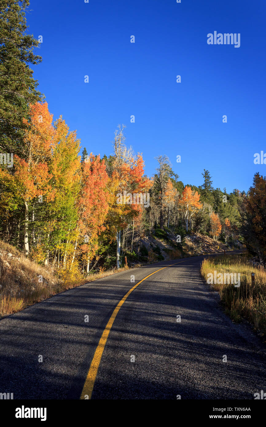 Fall colors along the road to Wheeler Peak, Great Basin National Park ...