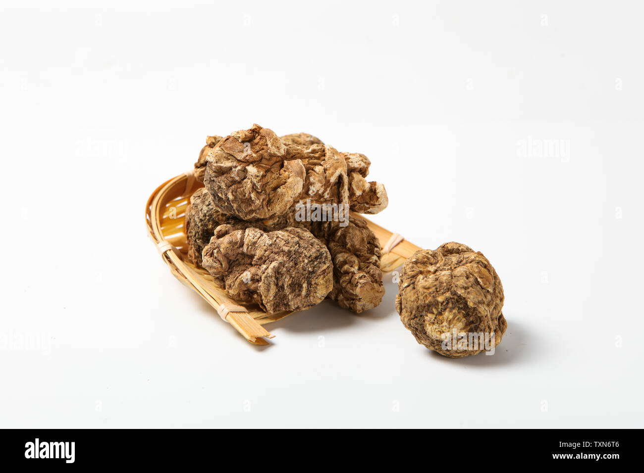 Angelica sinensis plant hi-res stock photography and images - Alamy