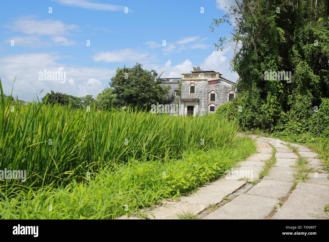traditional chinese garden design in small village: green field with ...