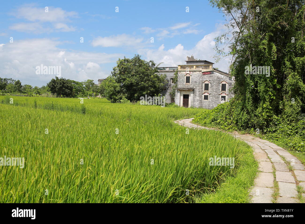 Chinese Small Garden Design Chinese Classic Garden: A Stunning Blend
