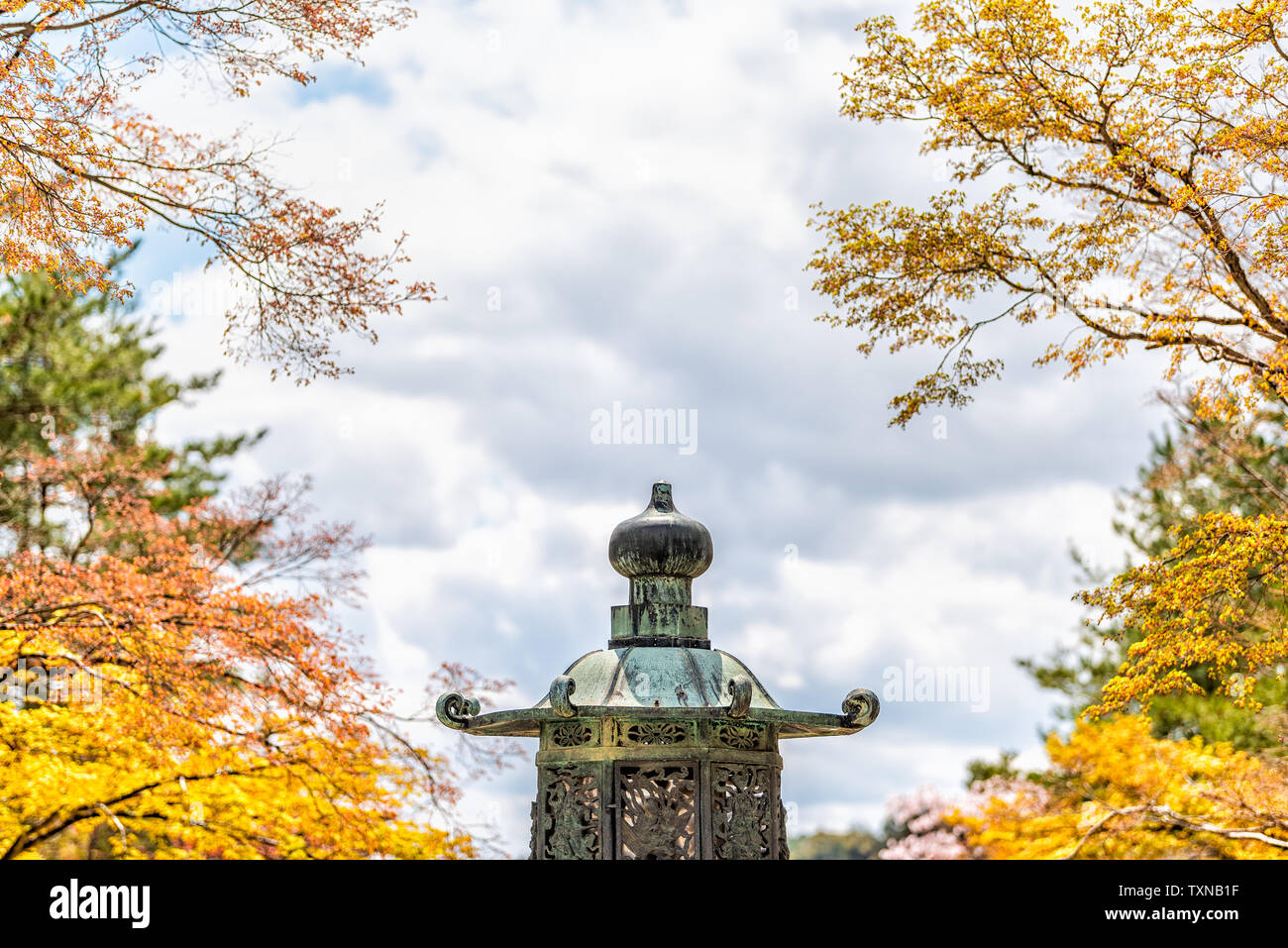 Spring yellow foliage trees framing bronze lantern at Ninna-ji temple ...