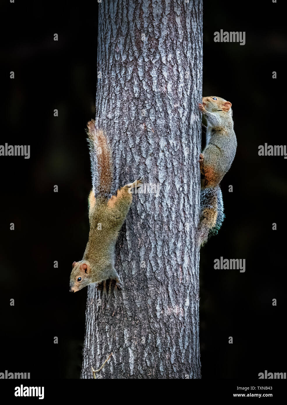 Parting ways Stock Photo - Alamy
