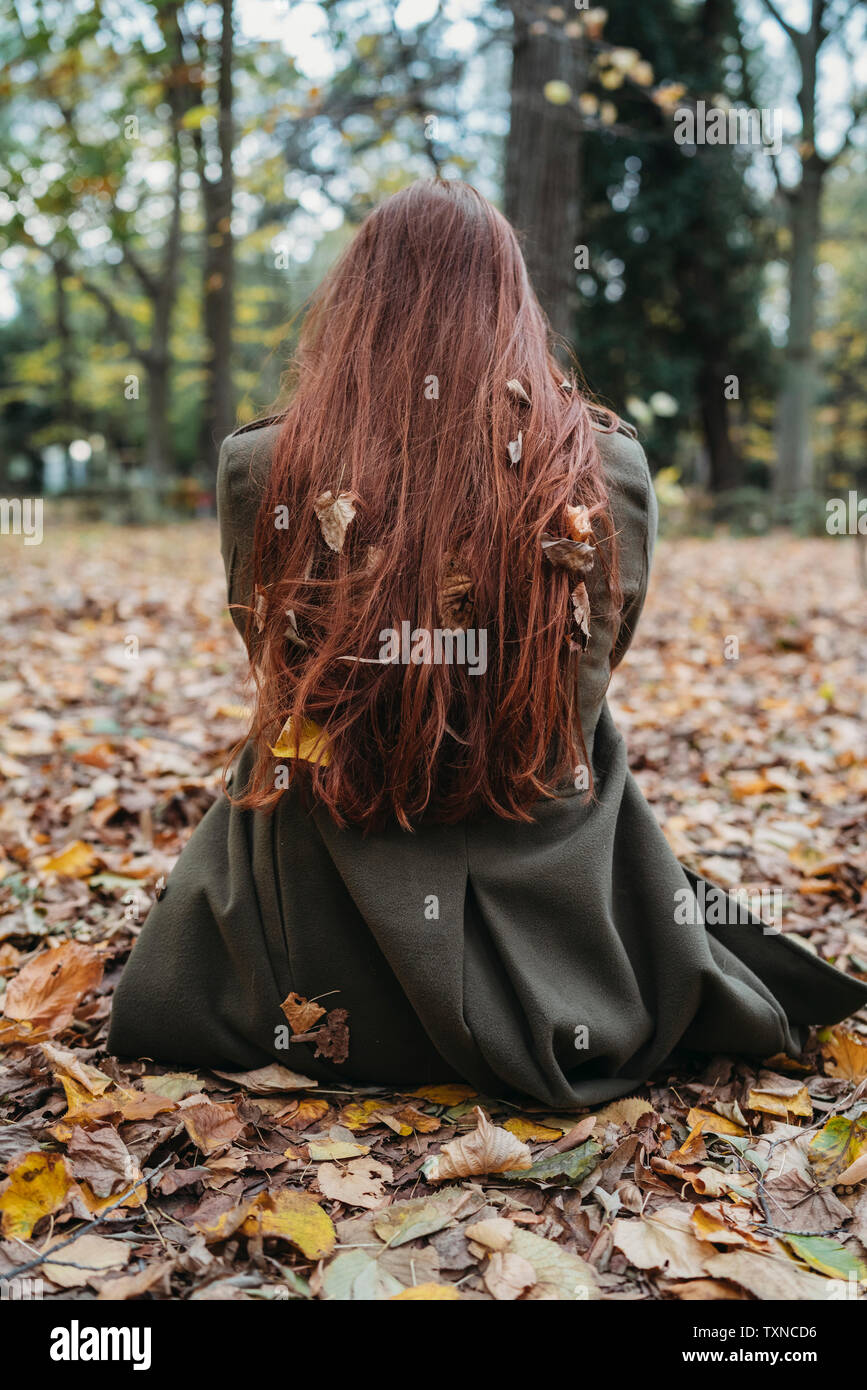 Tangled leaves hi-res stock photography and images - Alamy