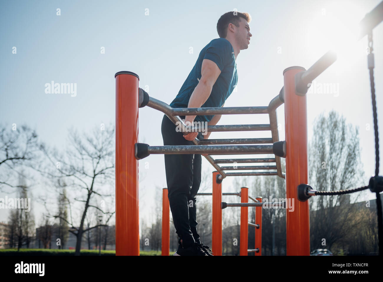 Push Up Exercise Equipment
