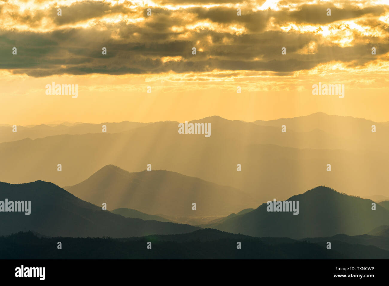 Sun shining through rainforest hi-res stock photography and images - Alamy