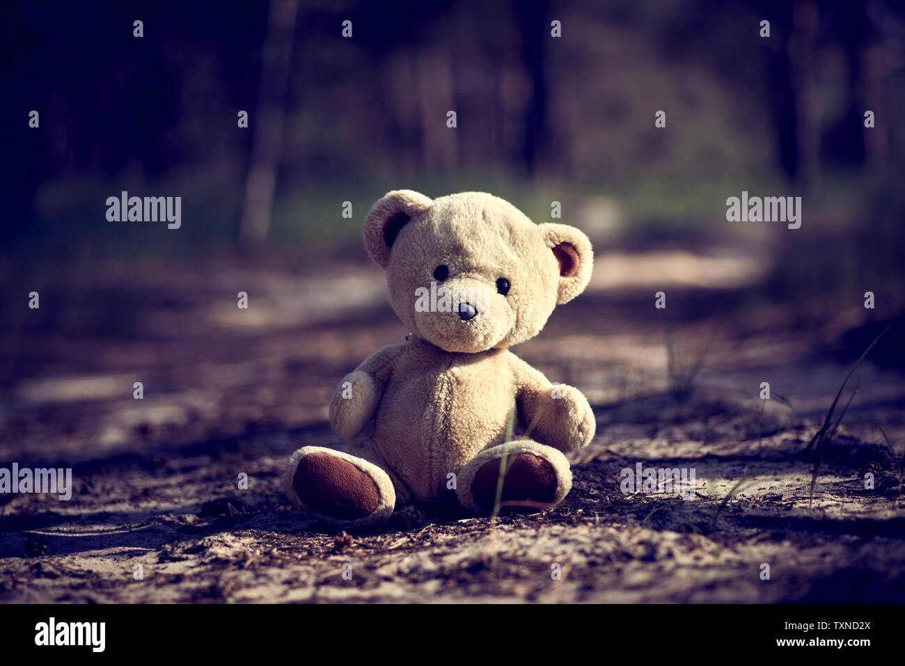 Lonely Teddy Bear Wallpaper