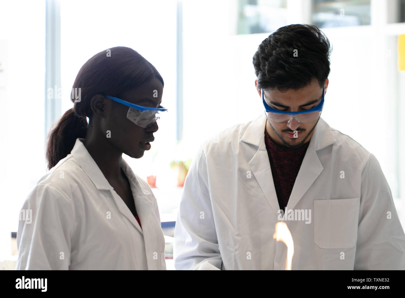 Young male and female scientists using bunsen burner in laboratory ...