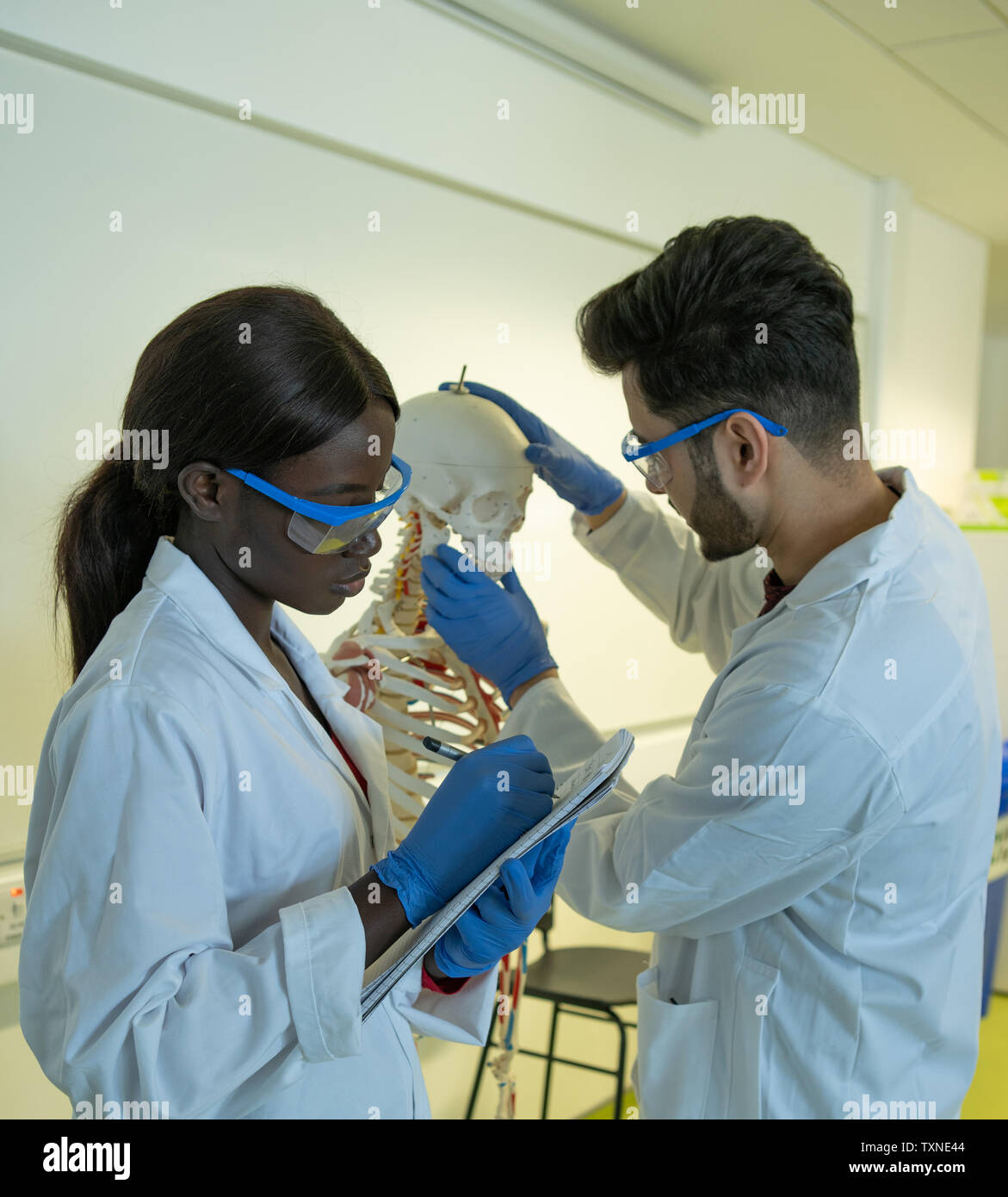 Human female skeleton hi-res stock photography and images - Alamy