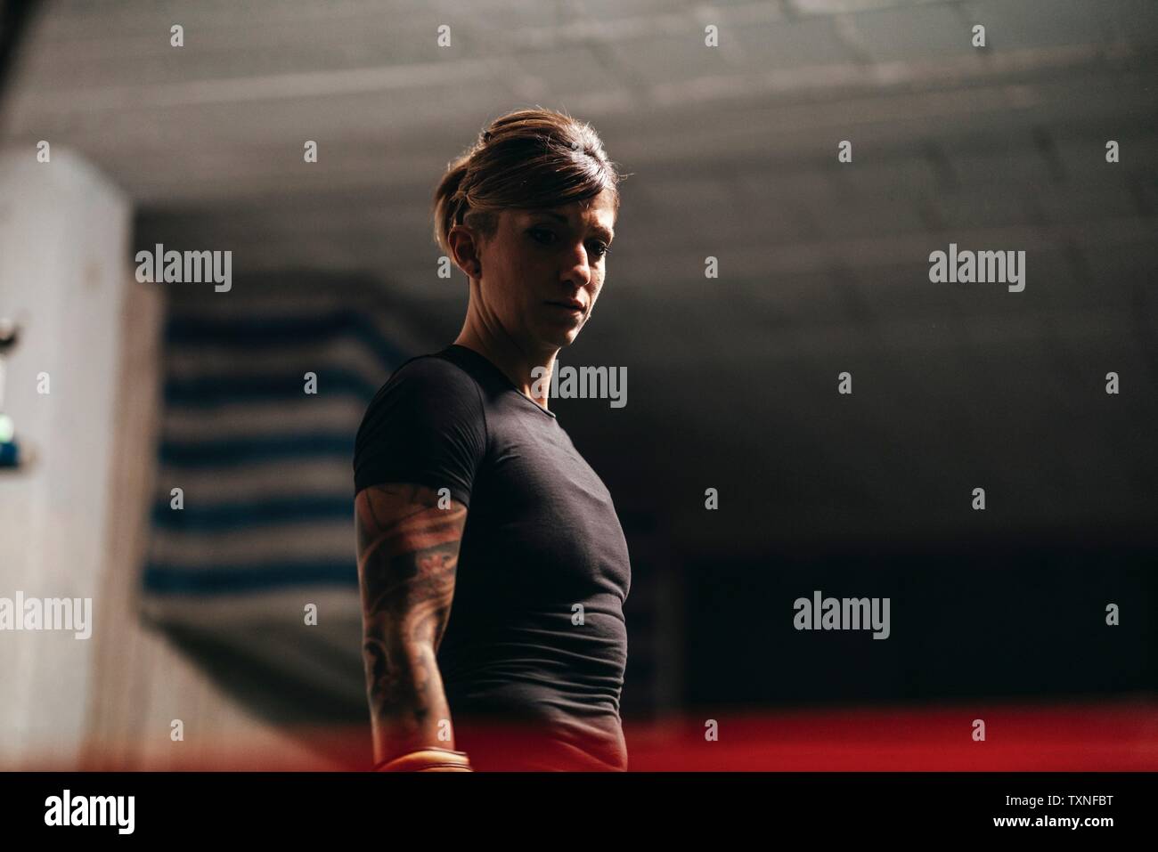 Boxer In Ring High Resolution Stock Photography and Images - Alamy