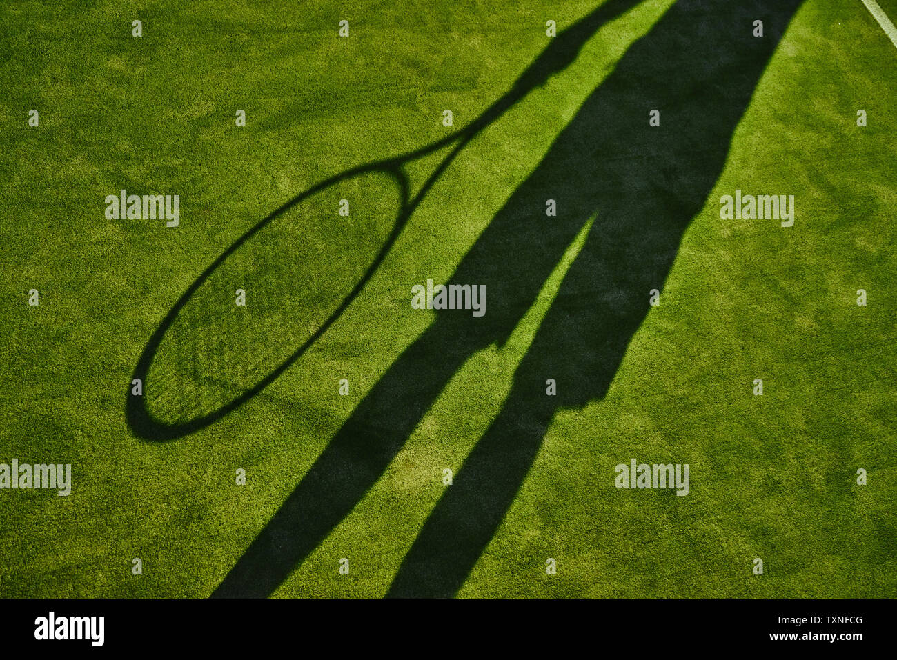 Cropped shadow of tennis player with tennis racket on green lawn Stock ...