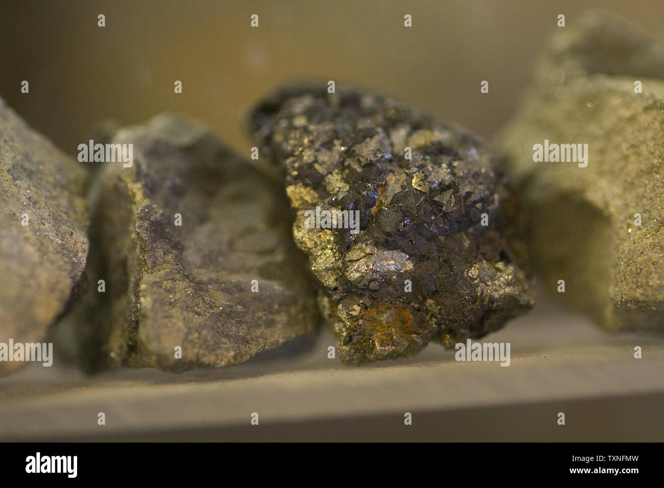 Gary maxwell hi-res stock photography and images - Alamy