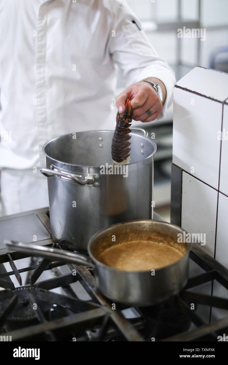 Lobster Chef High Resolution Stock Photography and Images - Alamy