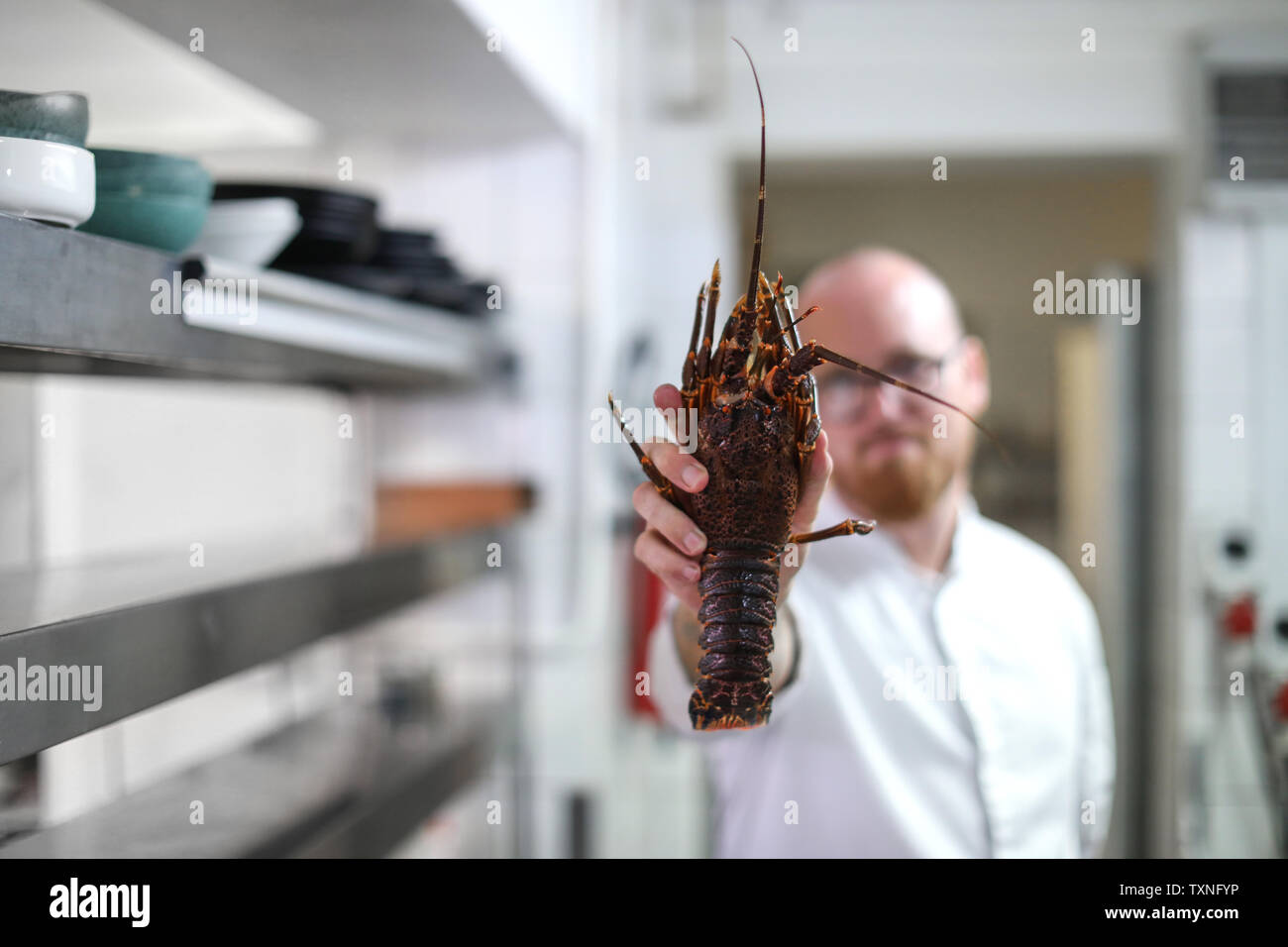 Man Eating Lobster High Resolution Stock Photography and Images - Alamy