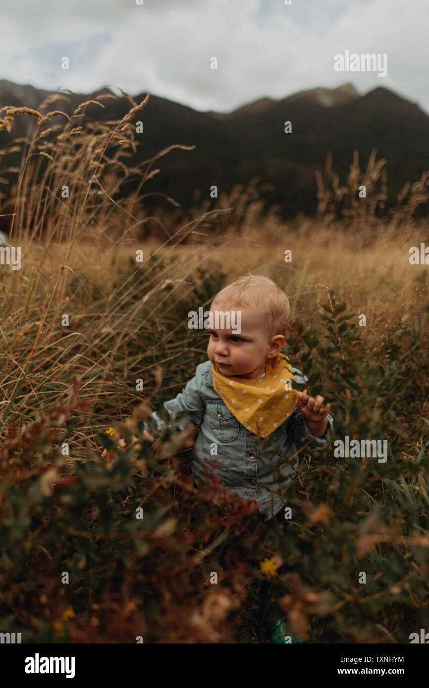 Baby exploring wilderness, Queenstown, Canterbury, New Zealand Stock ...