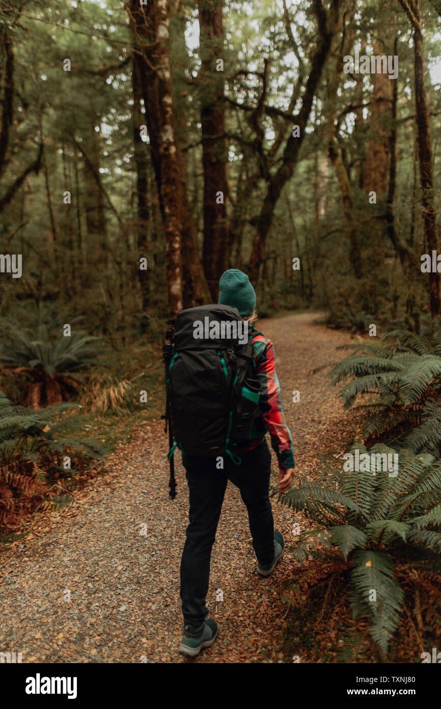 Exploring forest hi-res stock photography and images - Alamy