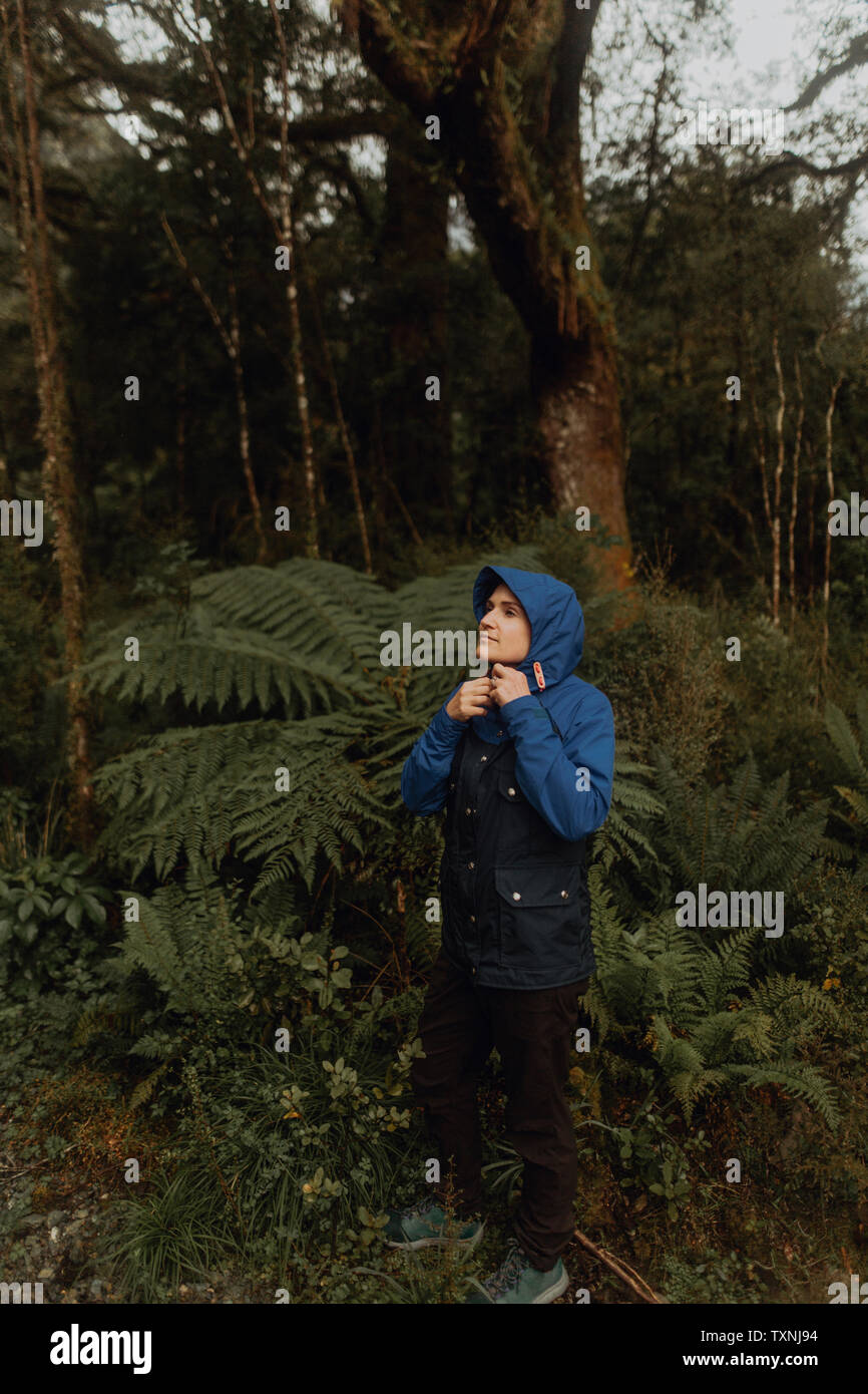 Queenstown forest hi-res stock photography and images - Alamy