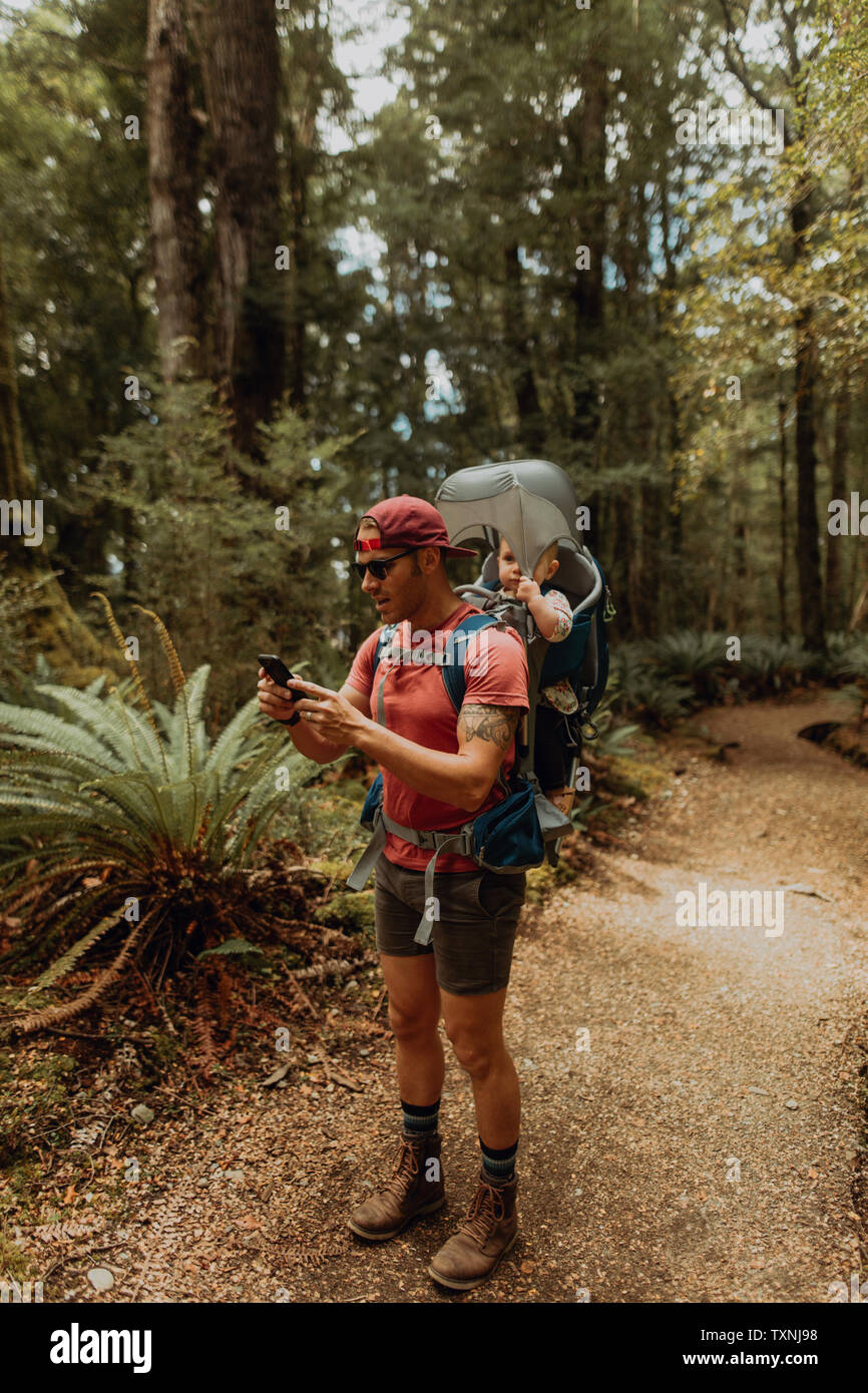 Father with baby exploring forest, Queenstown, Canterbury, New Zealand ...