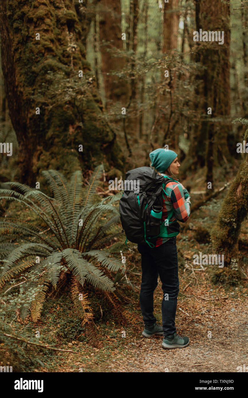 Hiker exploring forest, Queenstown, Canterbury, New Zealand Stock Photo ...
