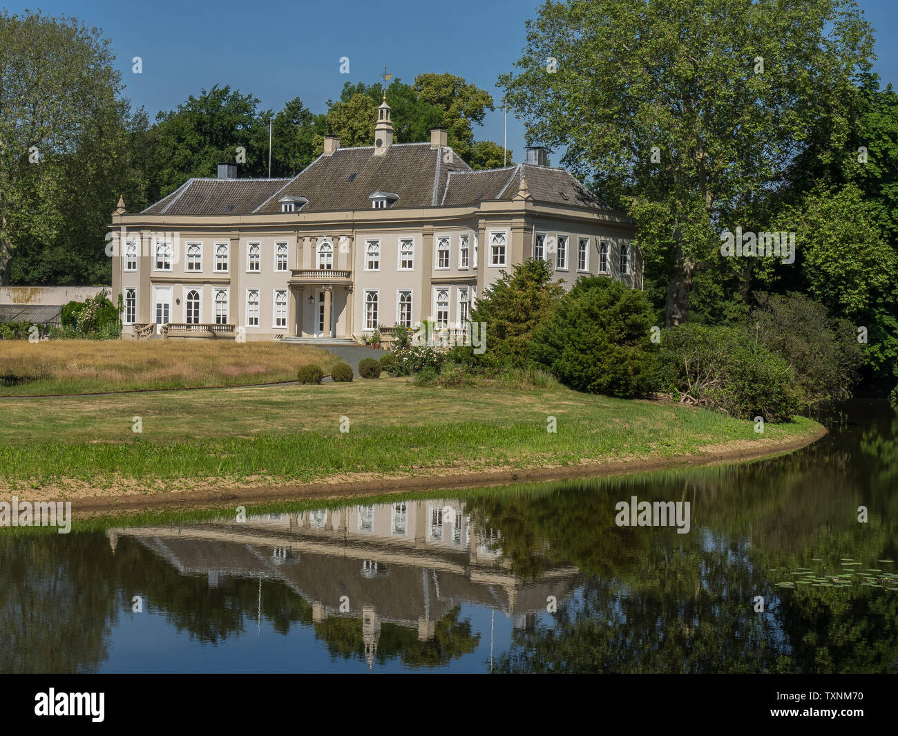 Castle and Cows Stock Photo - Alamy