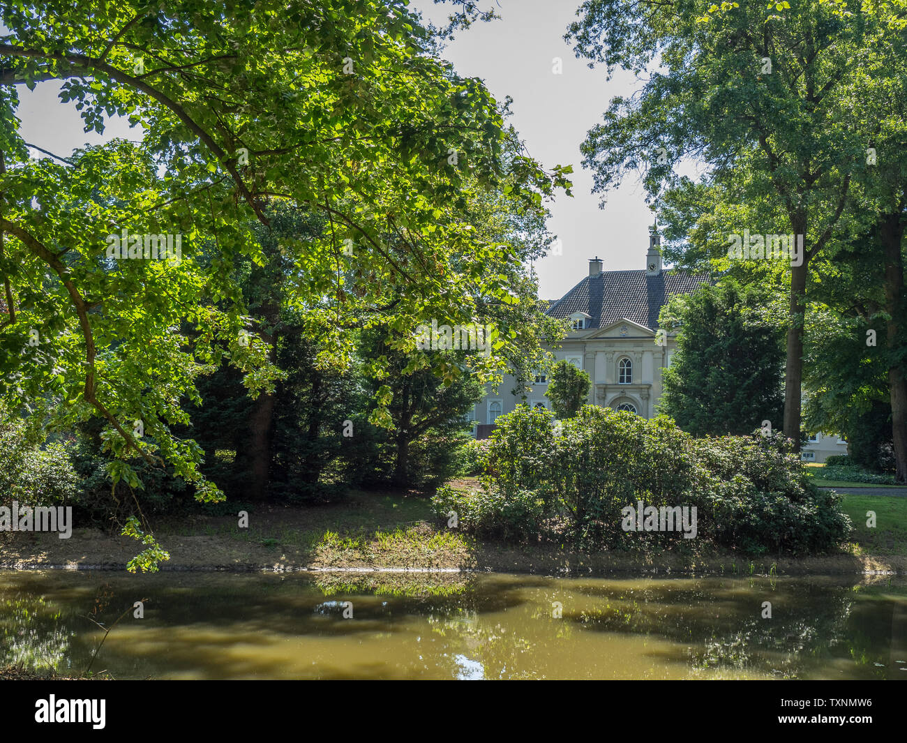 Castle and Cows Stock Photo - Alamy