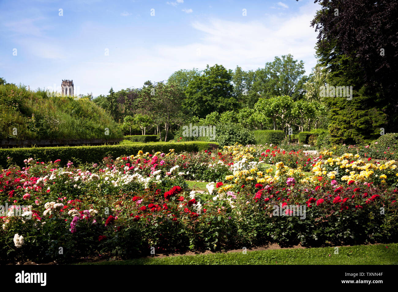 the rose garden at Fort X, a part of the former inner fortress ring, in ...