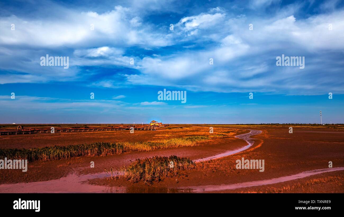 Photographed at Panjin Red Beach Stock Photo - Alamy