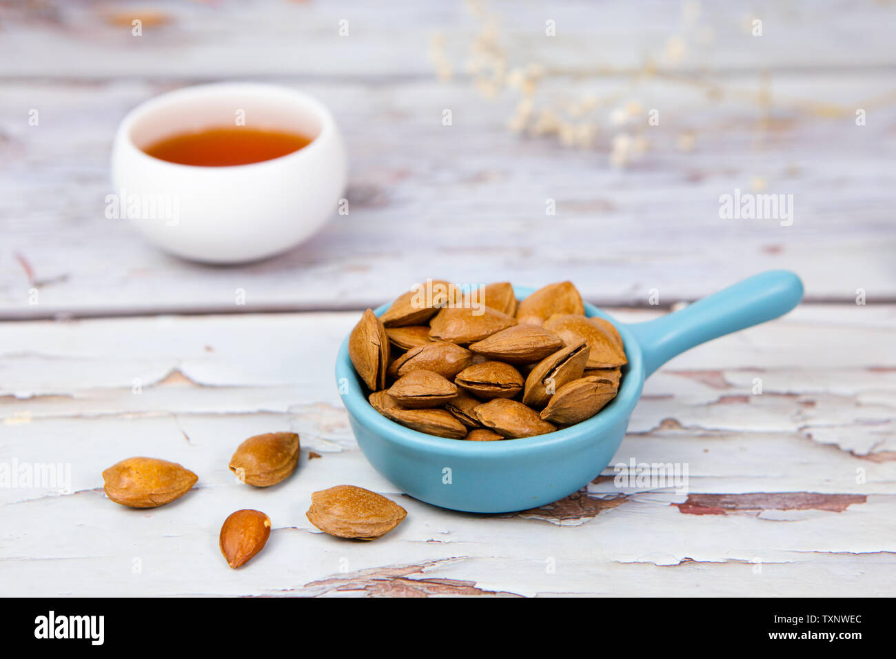 Ginkgo biloba container hi-res stock photography and images - Alamy