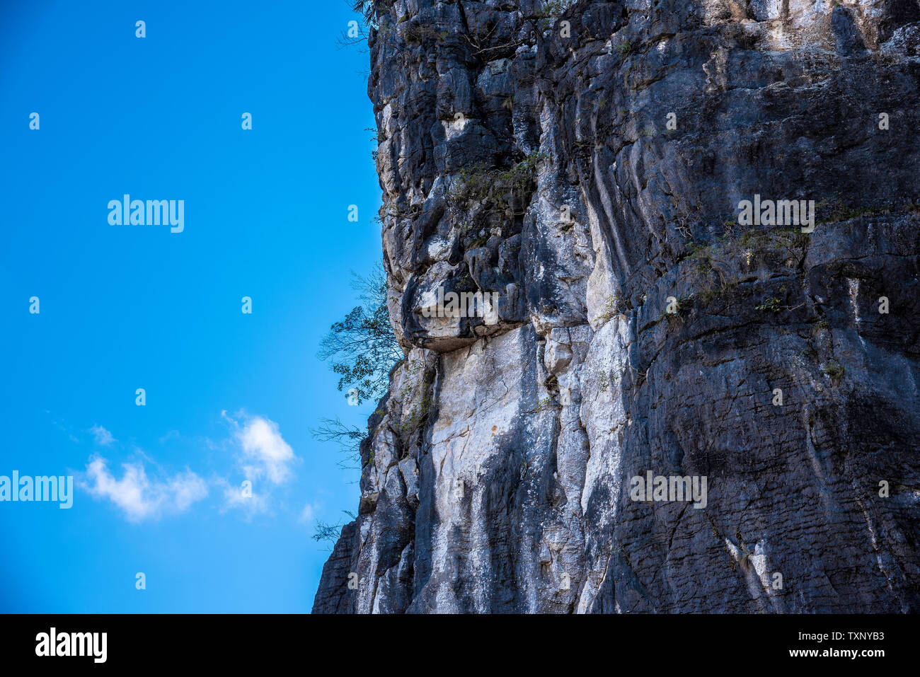 A close-up of karst geomorphology in Hezhou, Guangxi Stock Photo - Alamy