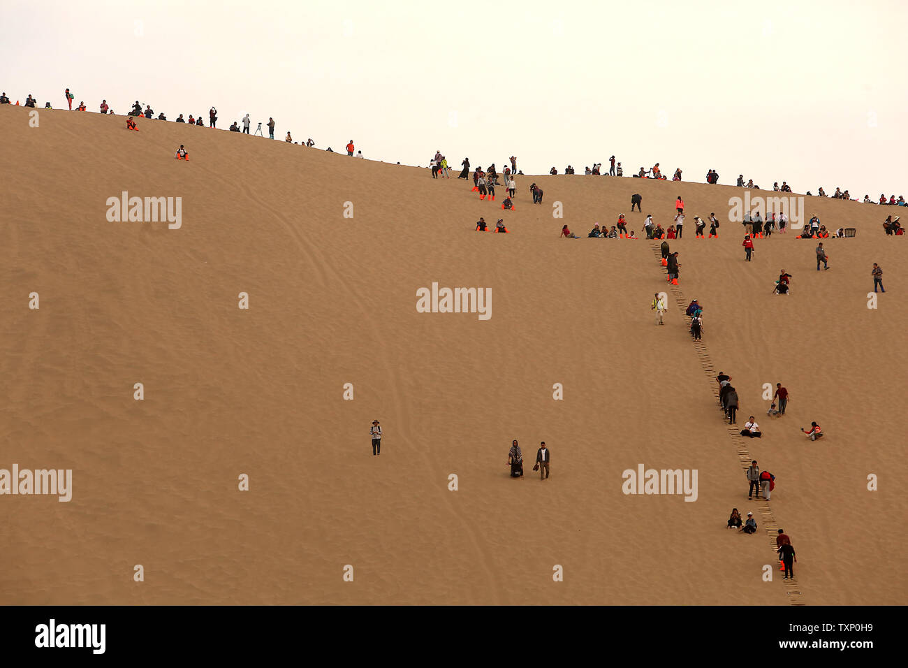Fighting desertification hi-res stock photography and images - Alamy