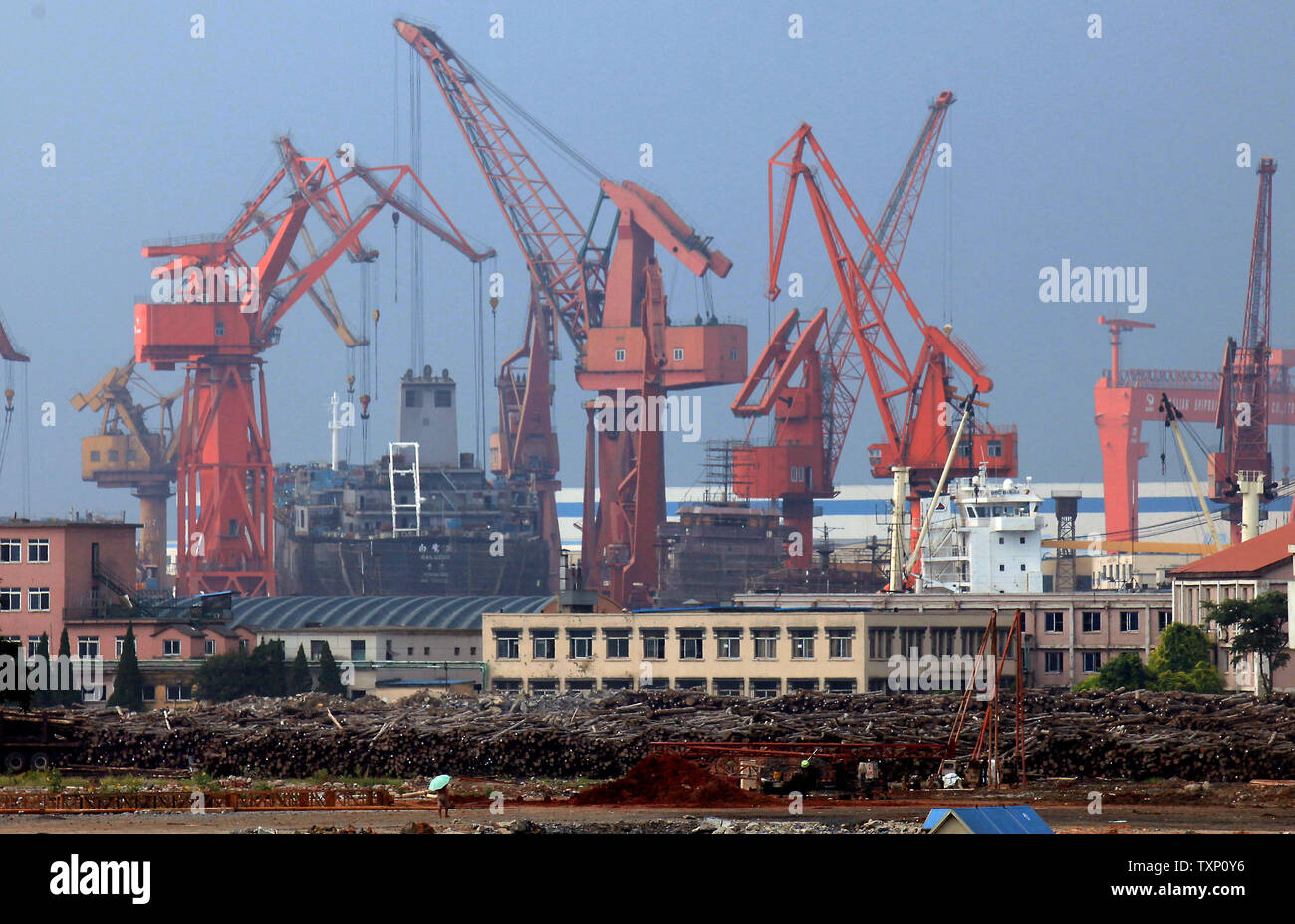 Old Chinese gantry cranes unload a giant container ship, docked ...