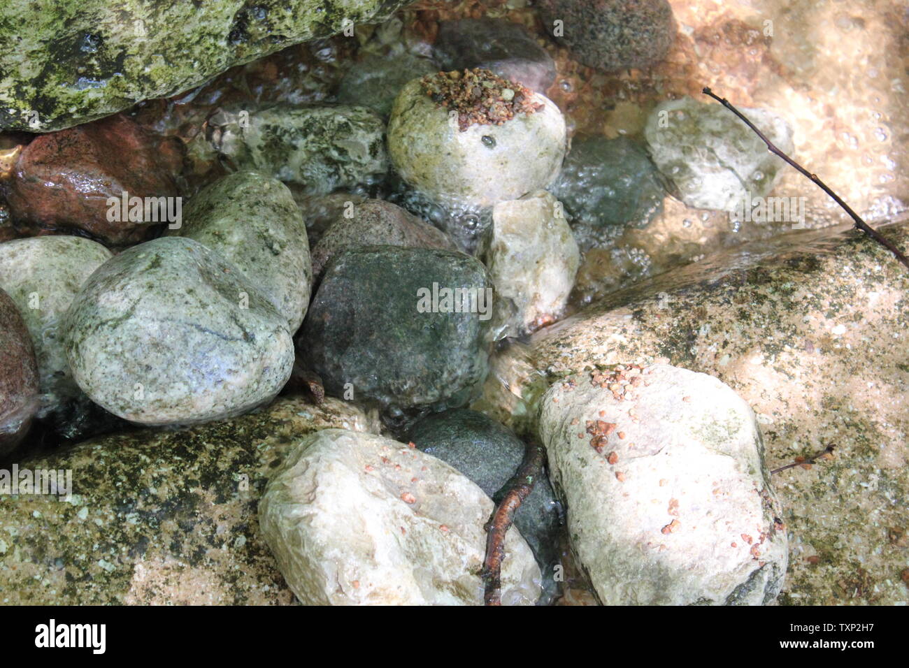 Refreshing and cooling water running around rocks and stones in a ...