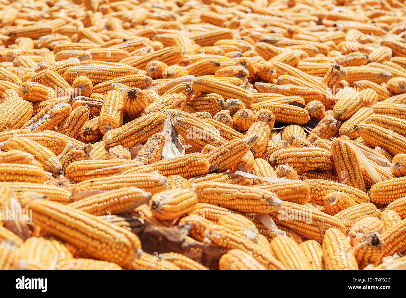 Corn desserts hi-res stock photography and images - Alamy