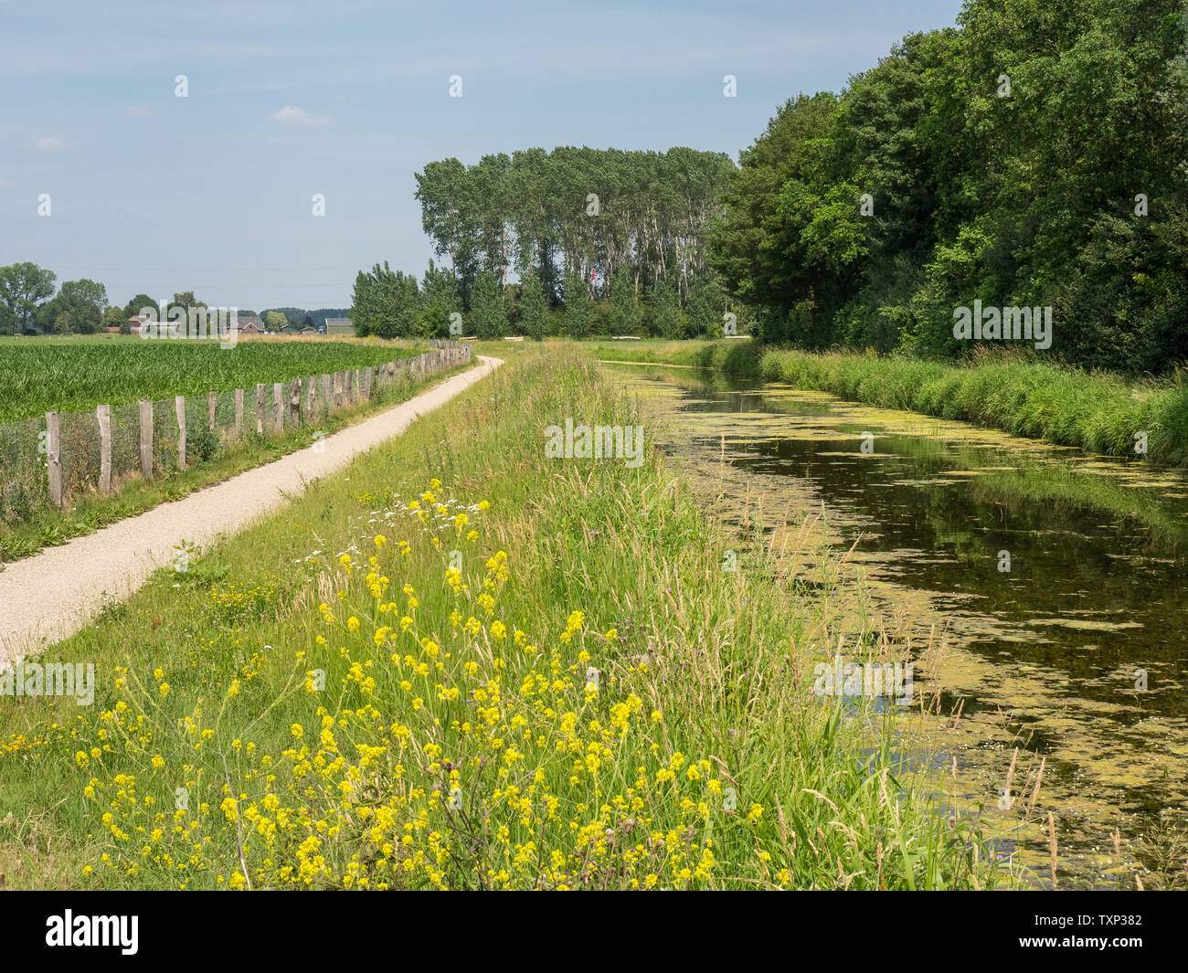 ulft in the netherlands Stock Photo - Alamy