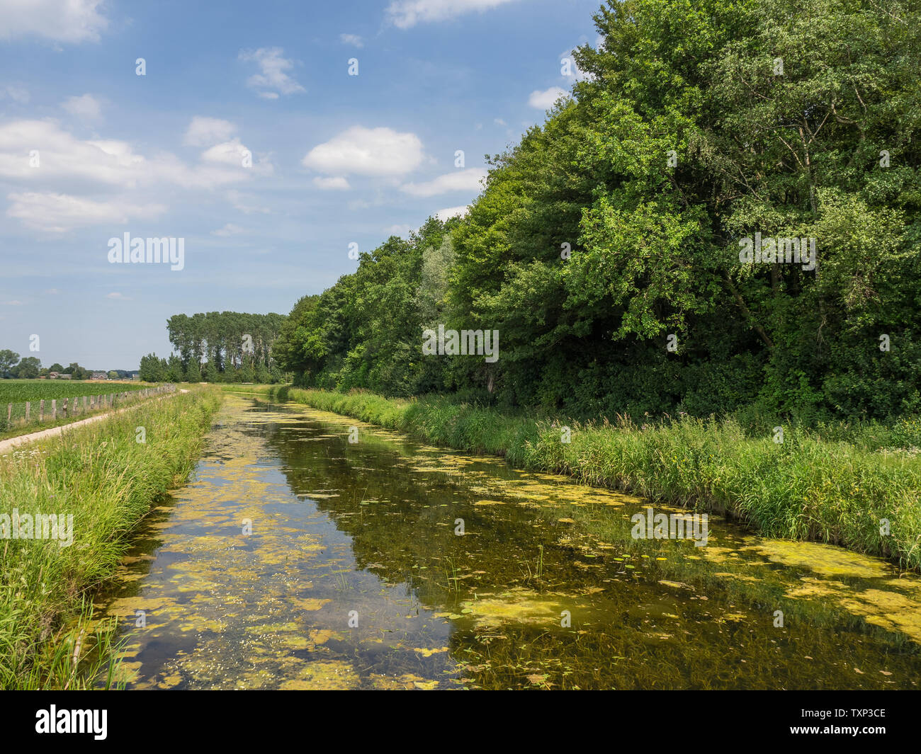 ulft in the netherlands Stock Photo - Alamy