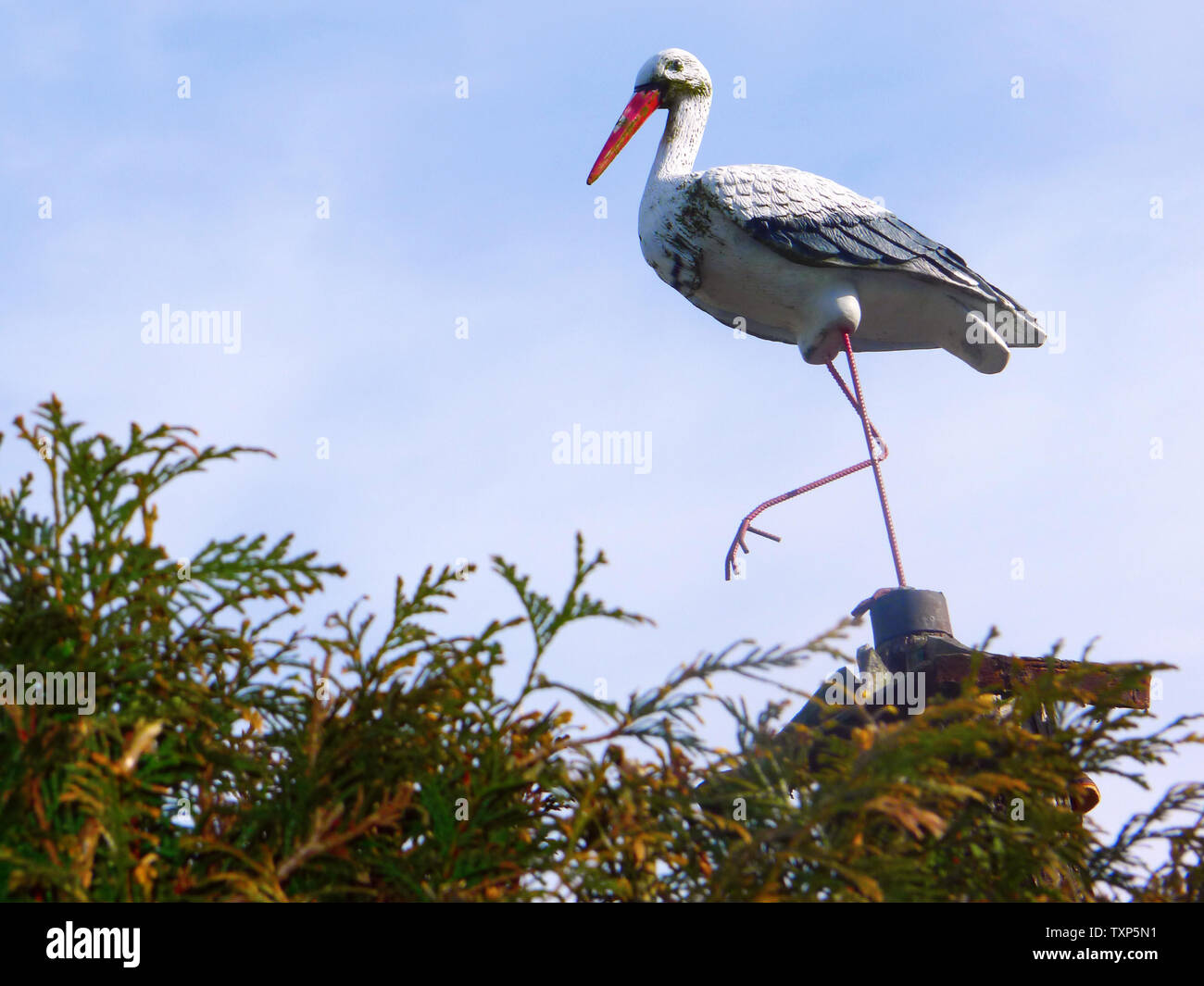 Model of stork in the garden Stock Photo - Alamy
