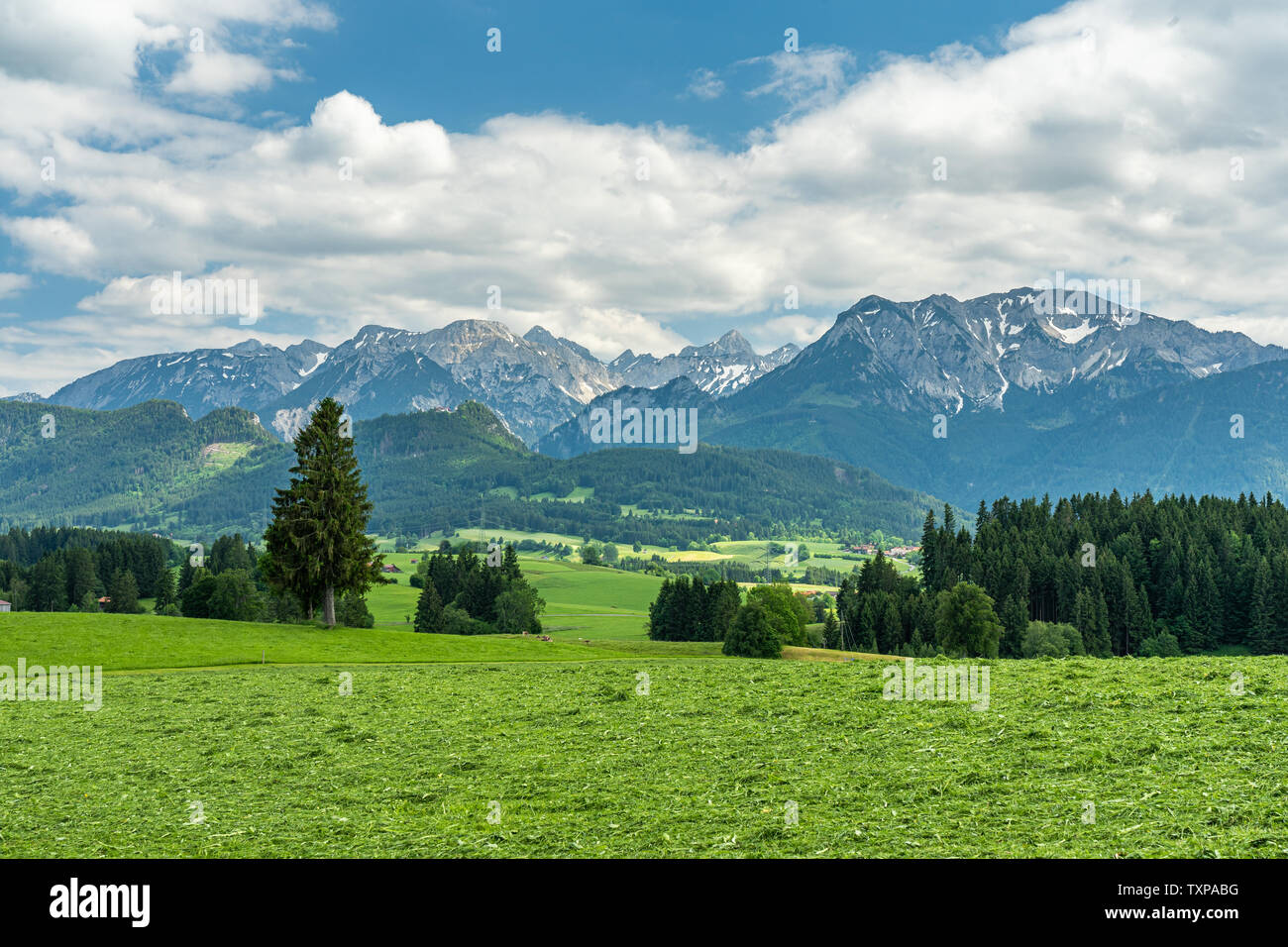 view on bavarian alps landscape panorama, germany Stock Photo - Alamy