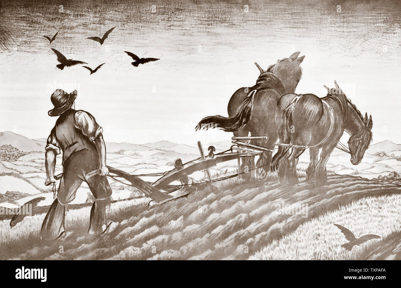 Illustration plow plough hi-res stock photography and images - Alamy