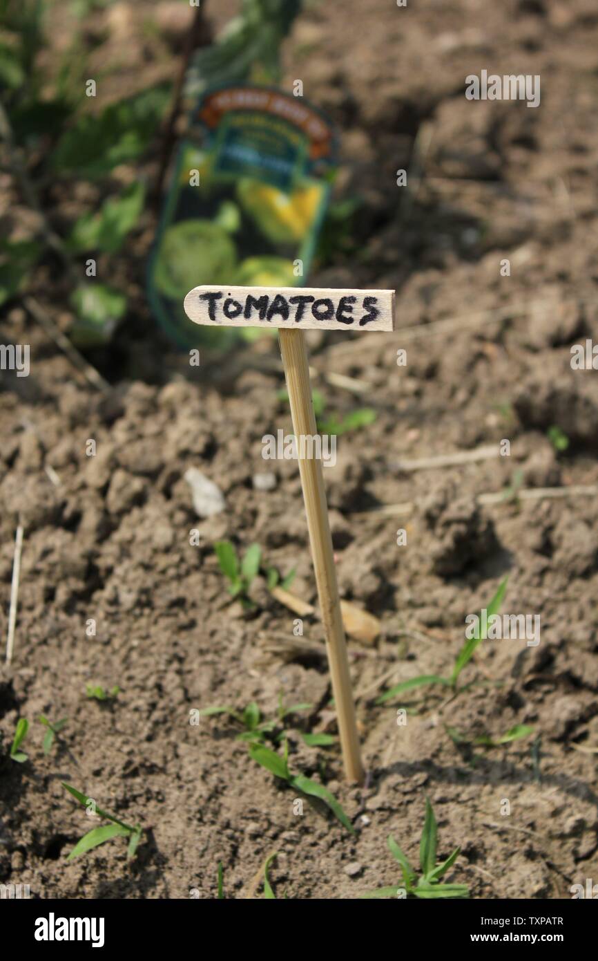 Tomatoes handwritten sign staked into the ground at the local community ...